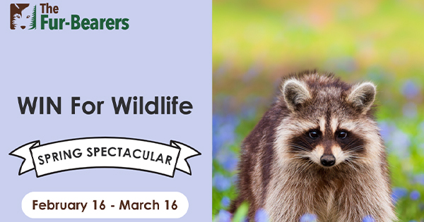 Order tickets for the WIN For Wildlife - Spring Spectacular 50/50 ...